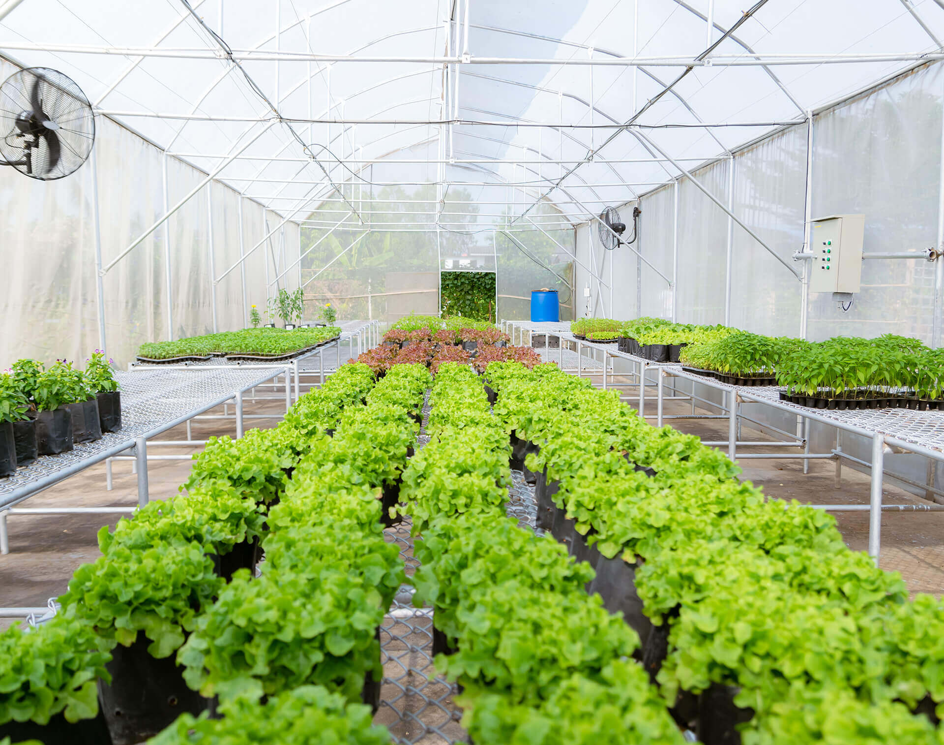 Organic farming offers alternative agricultural system. – Lakeside Tractor